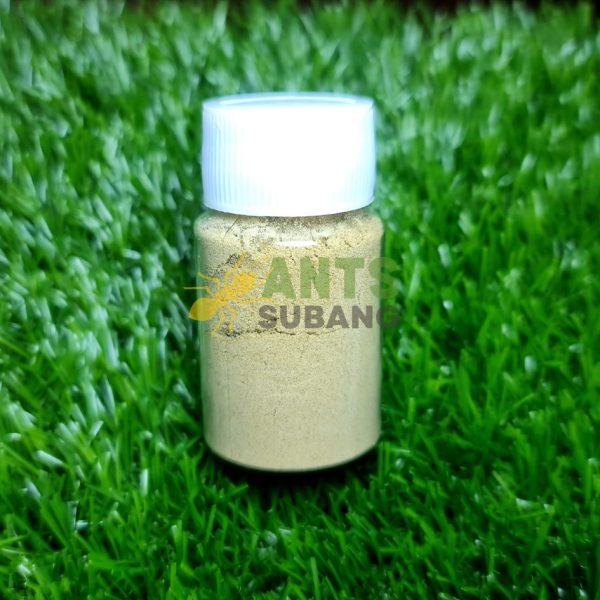 Super Protein Powder Ants Food 25ml - Ants-Subang.com