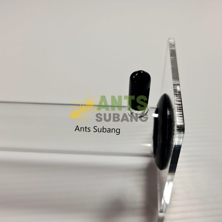Ant Nest Starter Kit with Feeding Area + Ant Colony - Ants-Subang.com