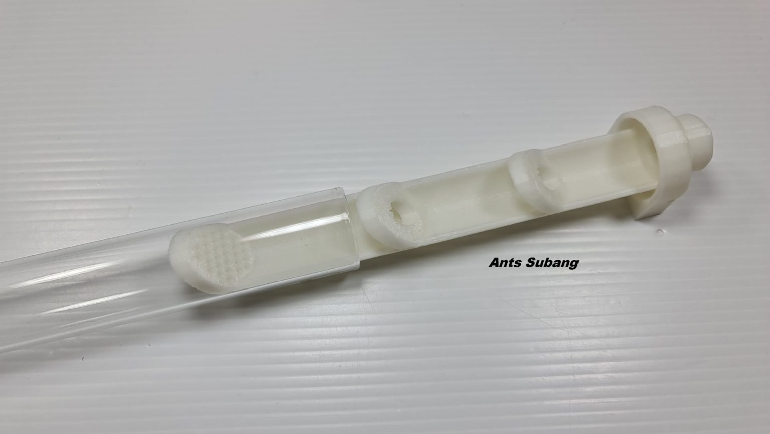 Glass Tube Ant Nest with 3D Printed Interior for Founding Colony - Ants ...