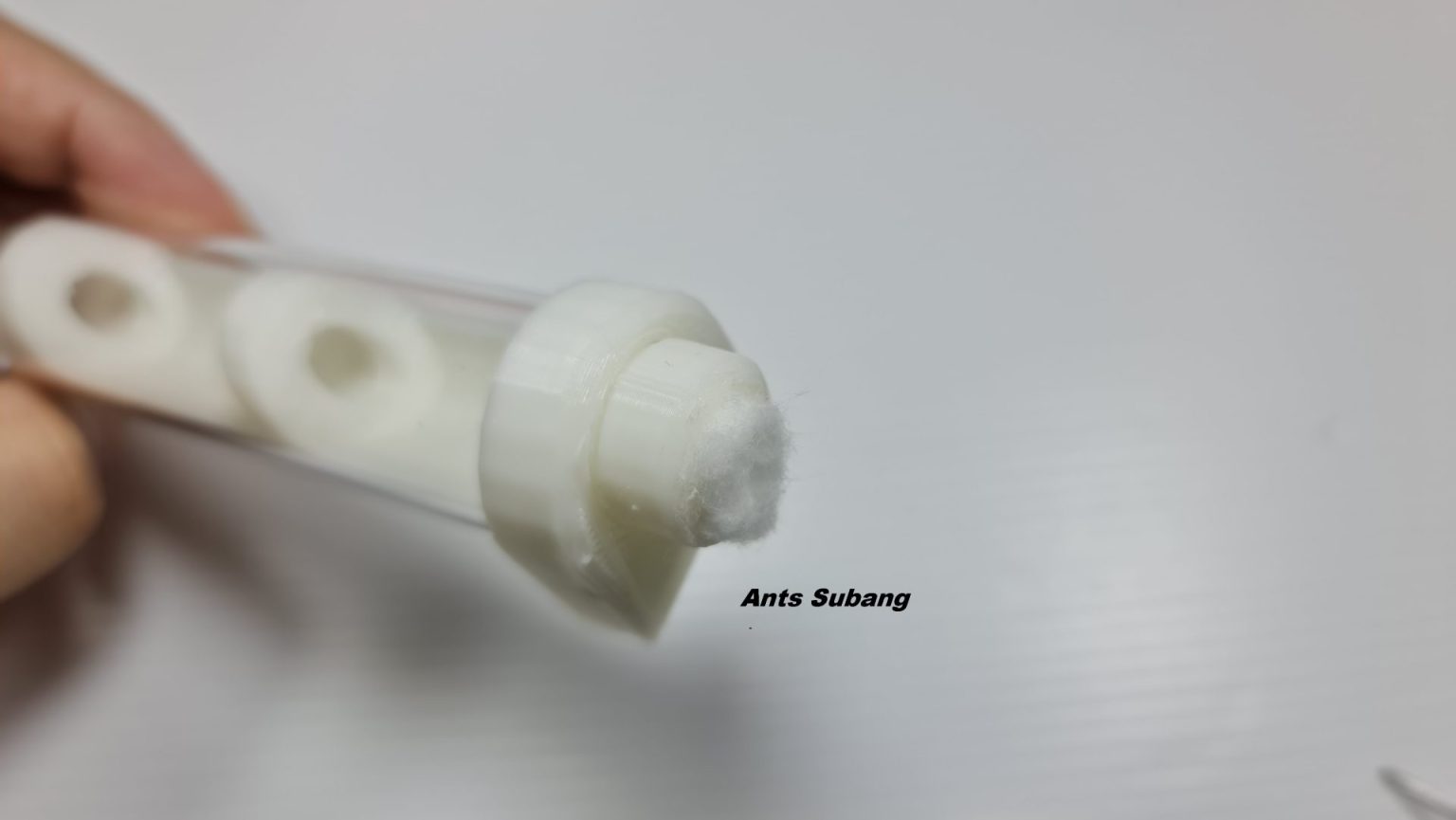 Glass Tube Ant Nest with 3D Printed Interior for Founding Colony - Ants ...