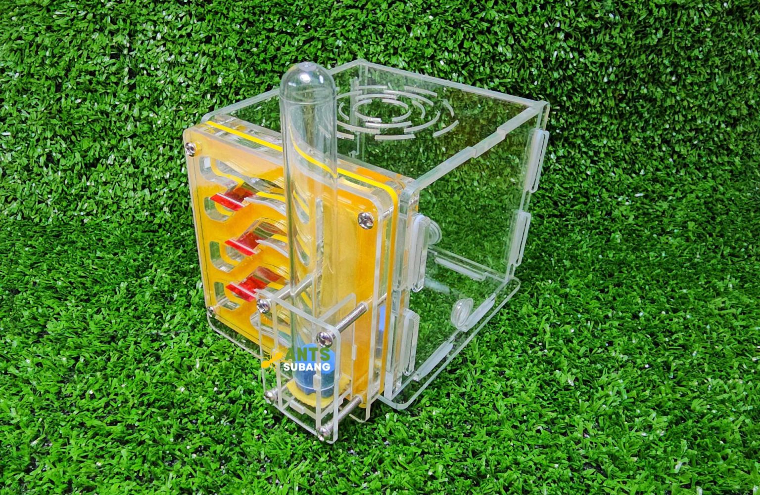 Ant Nest Starter Kit + Ant Colony Type 9 (Upright Acrylic Nest) - Ants ...
