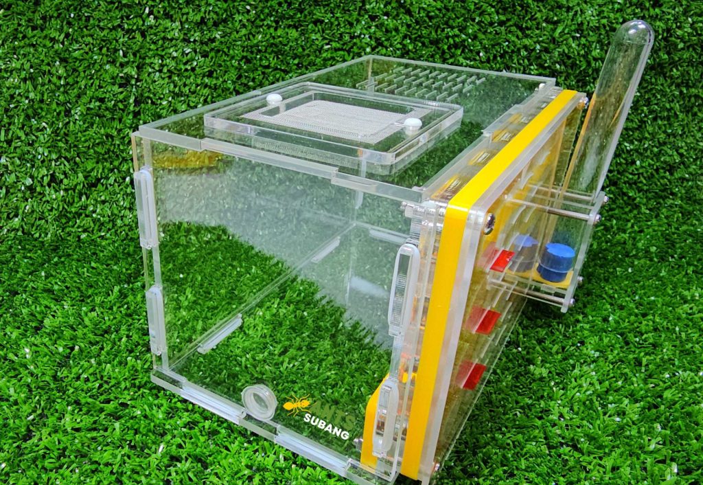 Ant Nest Starter Kit + Ant Colony Type 9 (Upright Acrylic Nest) - Ants ...