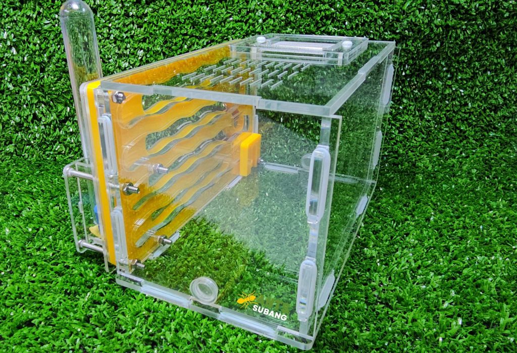 Ant Nest Starter Kit + Ant Colony Type 9 (Upright Acrylic Nest) - Ants ...