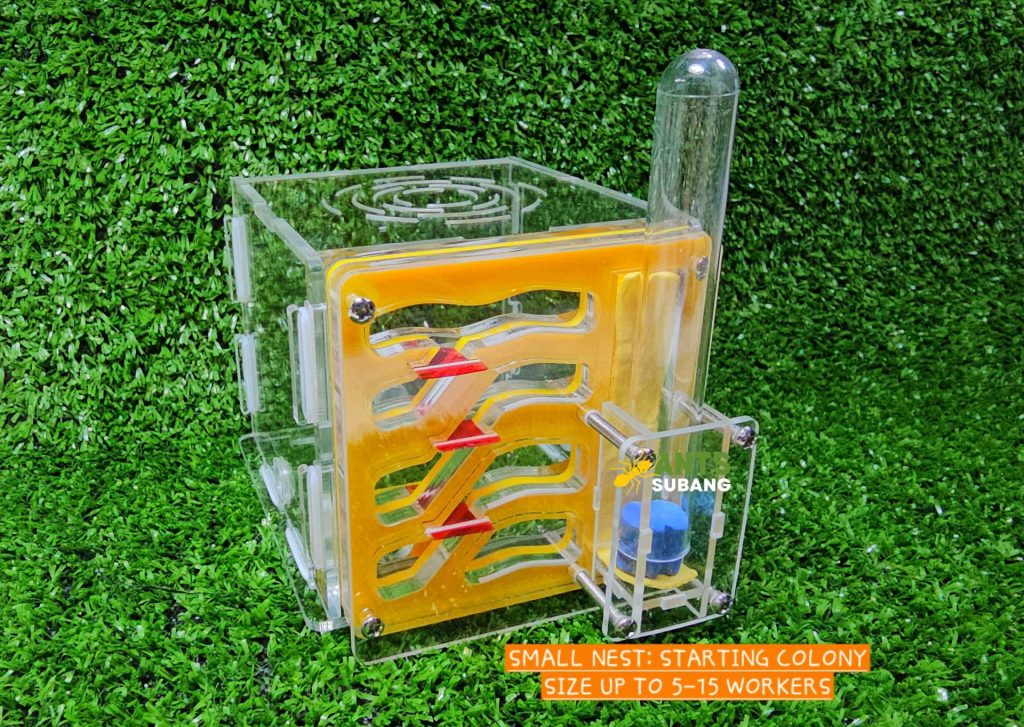 Ant Nest Starter Kit Type 9 + Ant Colony (Upright Acrylic Nest) - Ants ...