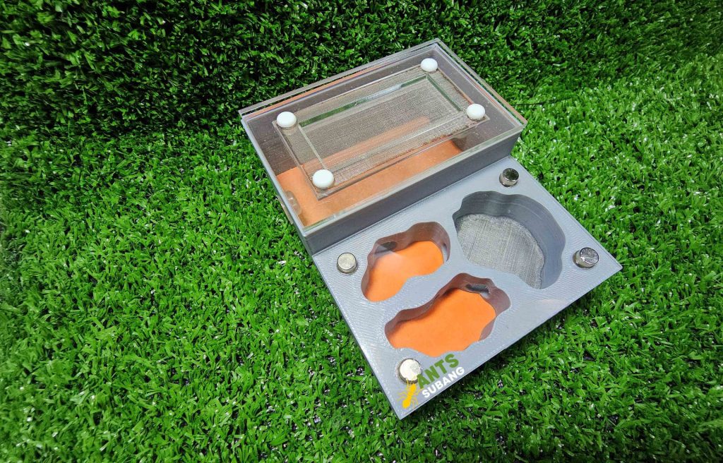 Ant Nest Starter Kit Type 10 + Ant Colony (3D Printed) - Ants-Subang.com