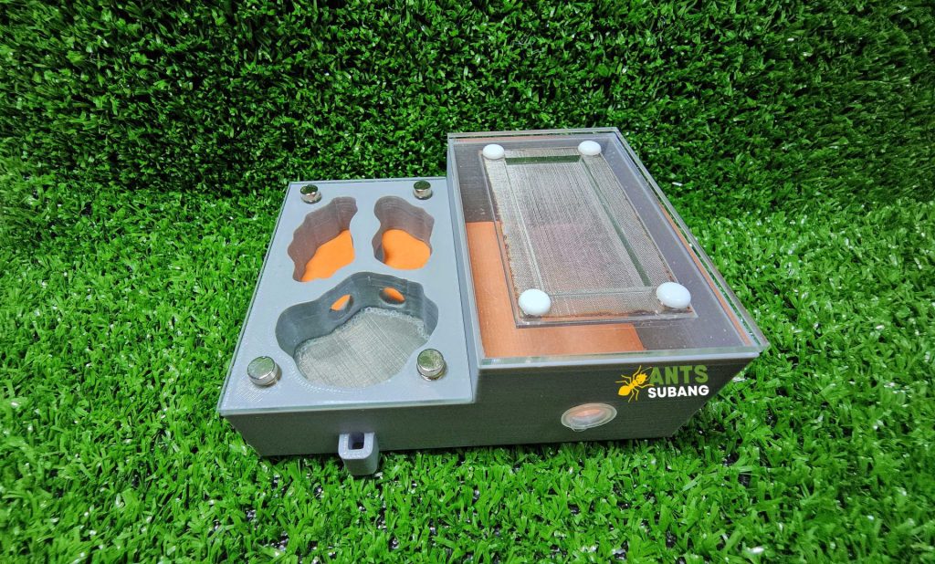 Ant Nest Starter Kit Type 10 + Ant Colony (3D Printed) - Ants-Subang.com