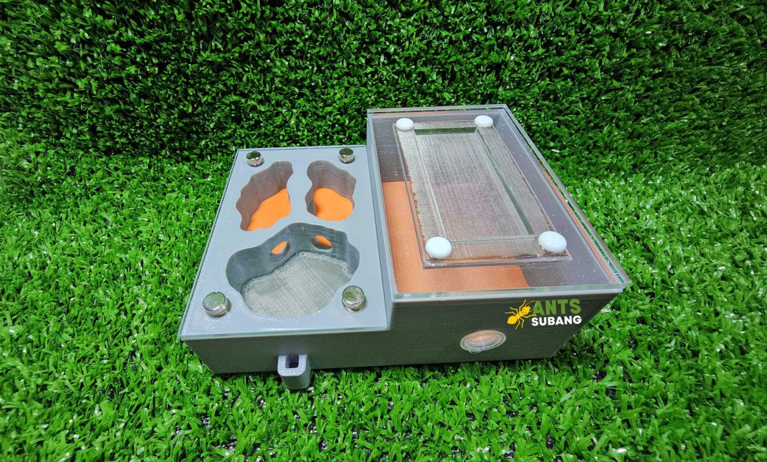 Ant Nest Starter Kit Type 10 + Ant Colony (3D Printed) - Ants-Subang.com