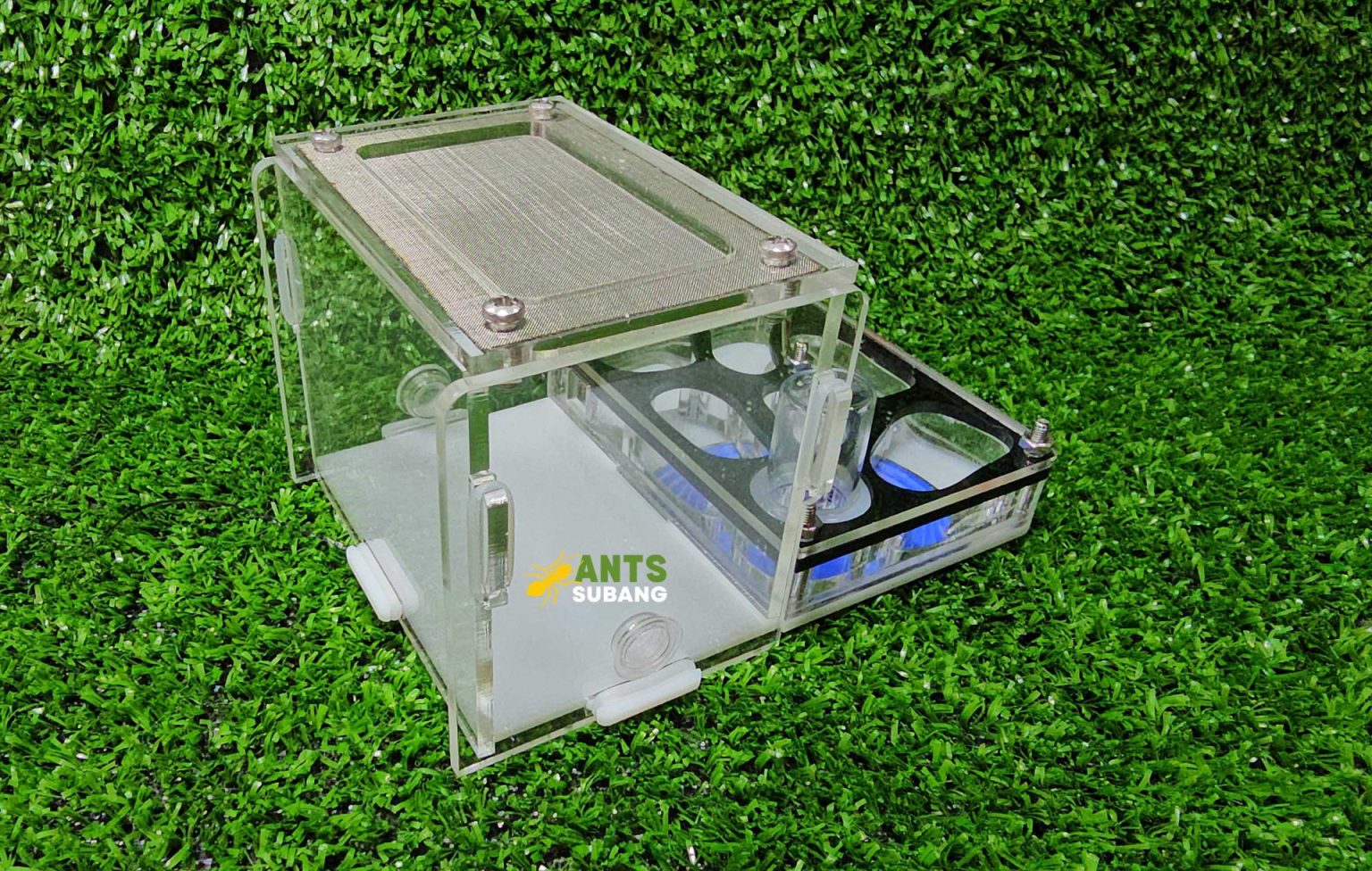 Ant Nest Starter Kit Type 11 + Ant Colony (Top View Flat Nest) - Ants ...